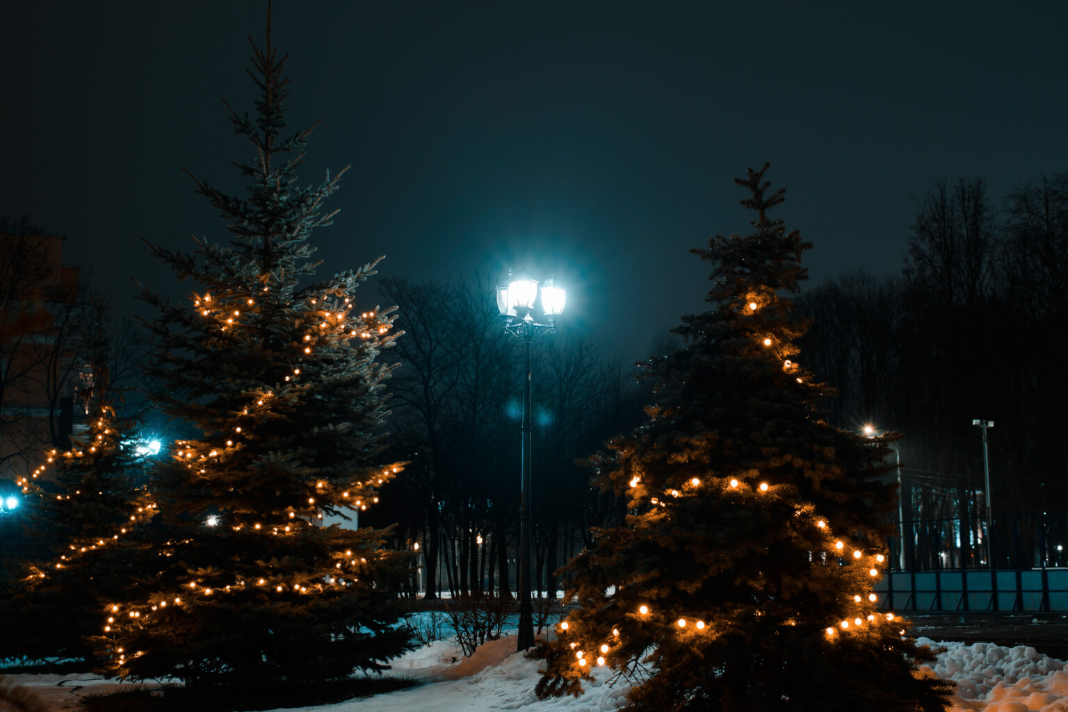 Tips and Tricks for Hanging Christmas Lights Like a Pro - Mr. Roof