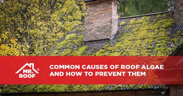 Common Causes of Roof Algae - Mr. Roof